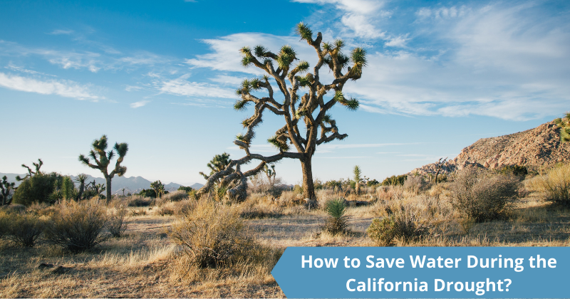 How to Save Water During the California Drought?